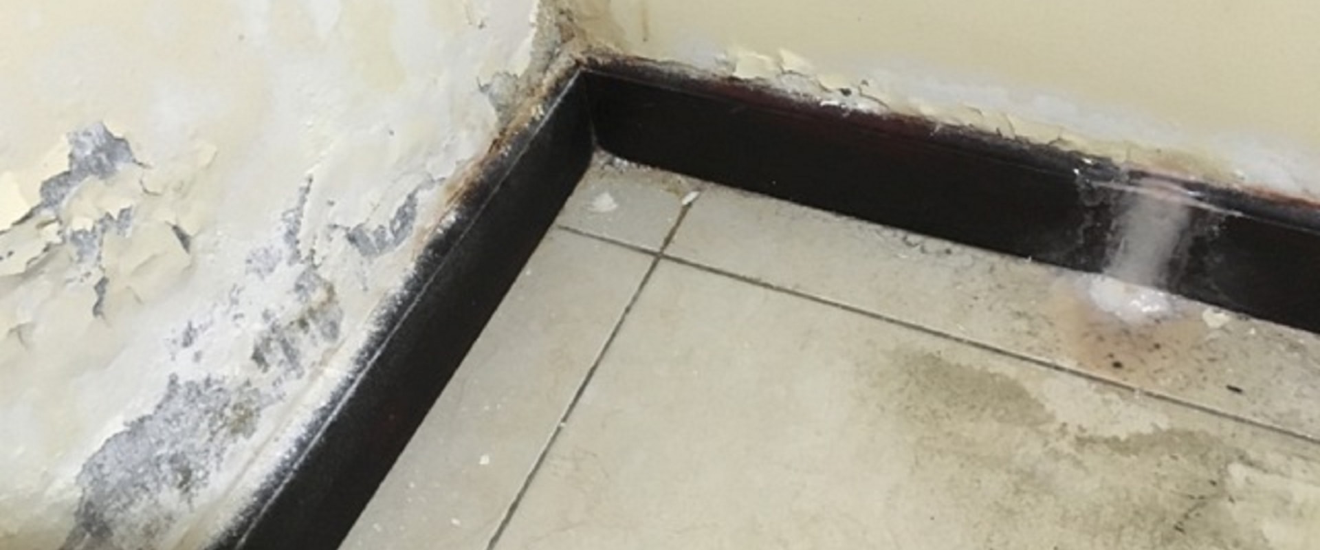 How to Dry Out Water Damaged Books