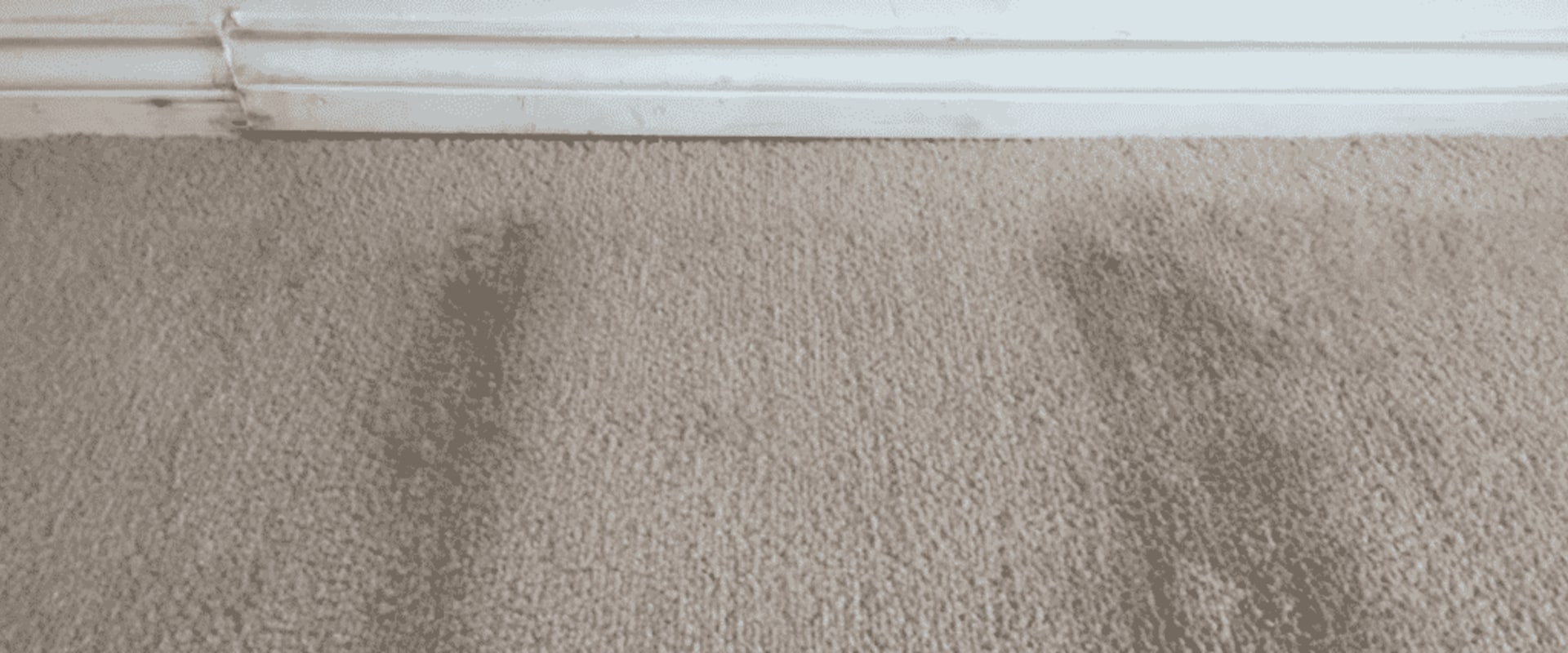 How to Repair Water Damaged Carpet Quickly and Effectively